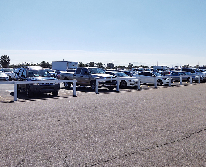 Parking paradise&mdash;where the real treasure hunt begins after you've filled your trunk with the day's spectacular finds.