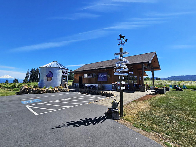 The farm's welcoming entrance with its whimsical signpost and converted silo ice cream shop promises a day of sensory delights ahead.