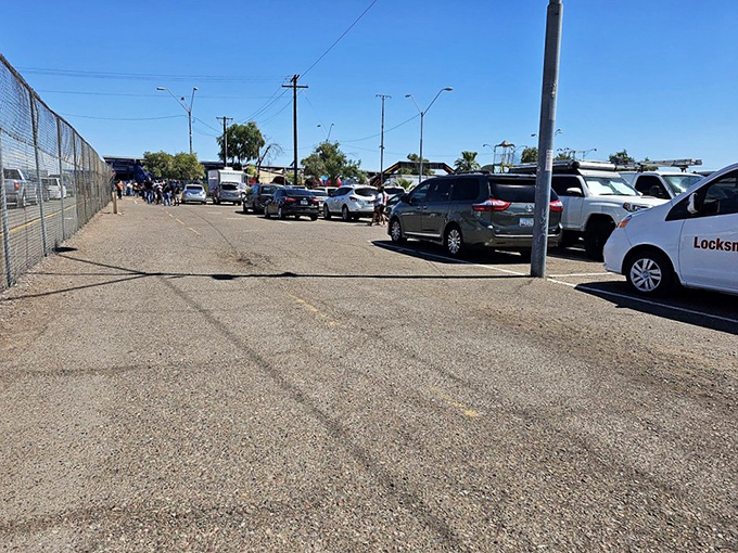 The packed parking lot tells the story of Phoenix's weekend treasure hunting obsession.