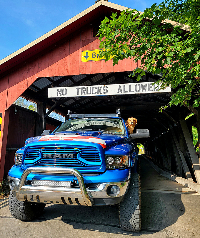 Even modern trucks pause in respect, the golden retriever co-pilot wondering why his human is taking yet another bridge photo for Facebook.