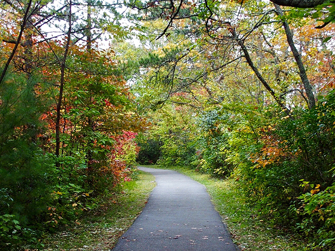 Autumn transforms this pathway into nature's red carpet. No paparazzi here &ndash; just you and the rustling leaves.