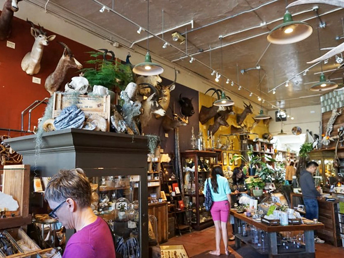 Treasure hunters absorbed in their quest for the perfect oddity. The store's layout encourages lingering and discovering something you never knew you needed.