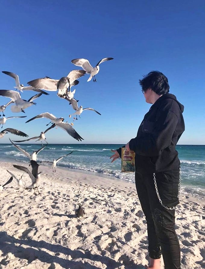 The unofficial Navarre Beach welcoming committee demands tribute in the form of snacks before granting you honorary local status.
