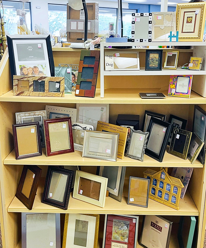 Picture frames waiting to showcase your memories. From minimalist modern to ornate vintage, your photos never had so many options.