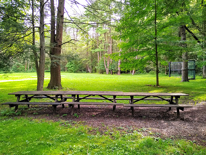 The world's most perfect conference table. No PowerPoint presentations here&mdash;just birds, breezes, and the best lunch break you'll ever take.