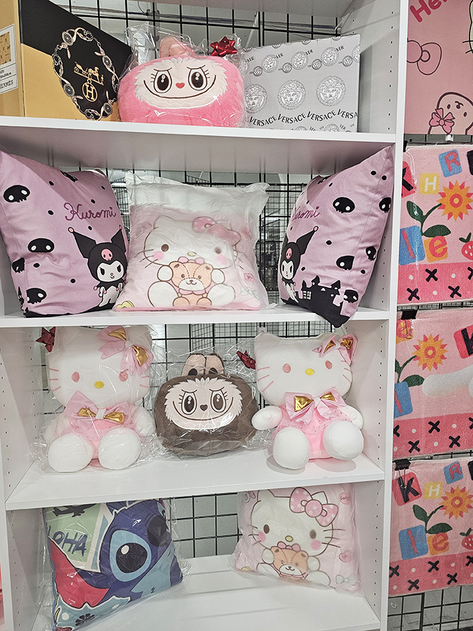 Kawaii cuteness overload! These plush pillows and stuffed characters bring joy that's impossible to measure in mere dollars and cents.