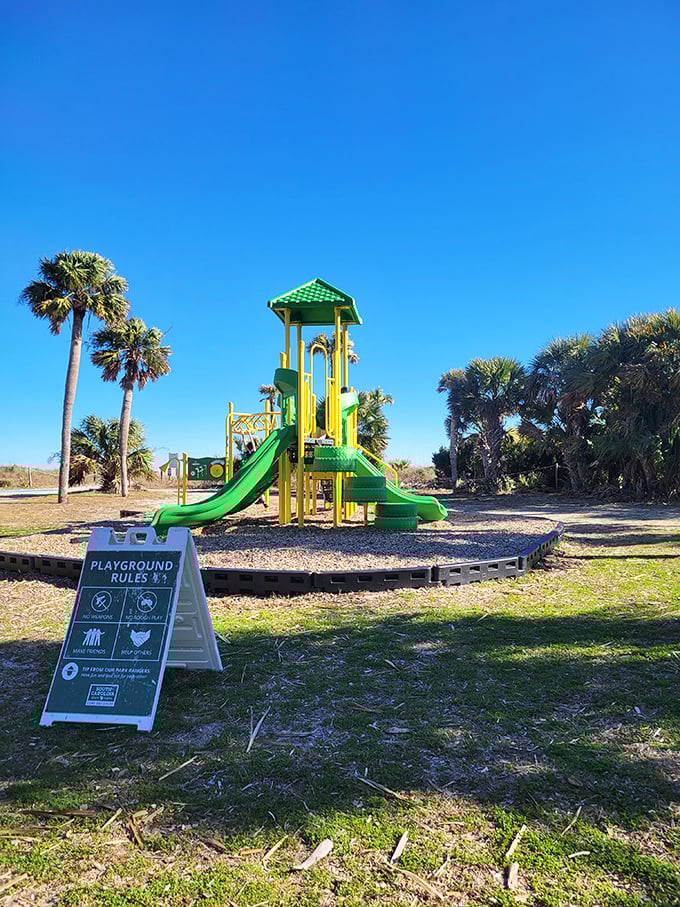 Even playground equipment looks more inviting when surrounded by palm trees&mdash;childhood joy with a side of tropical paradise.
