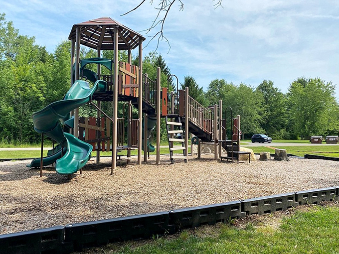 Playground paradise where kids burn energy and parents secretly wish they could still fit down those slides without embarrassment.