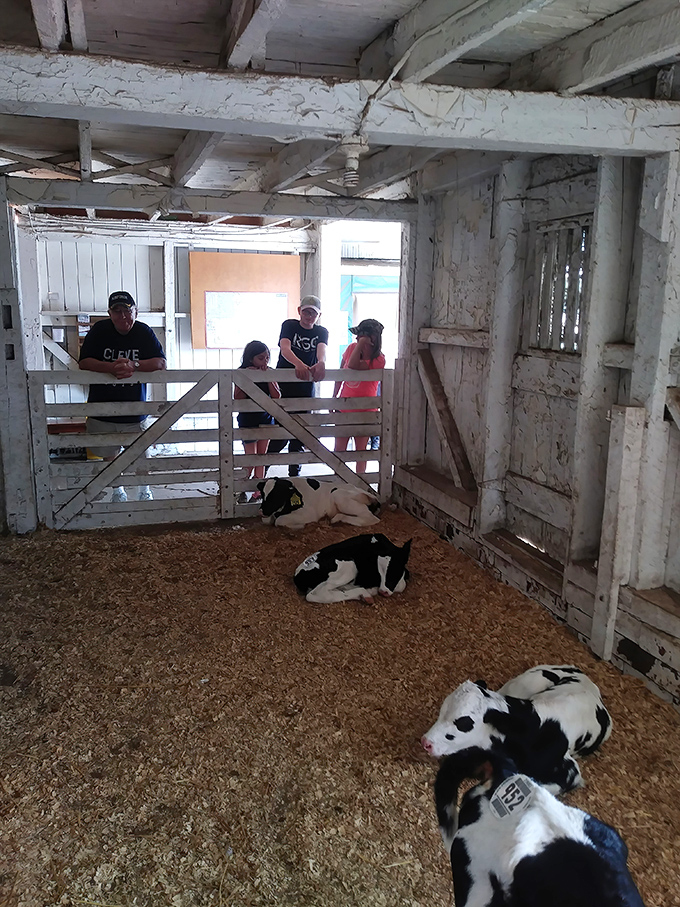 Family farm experiences that no virtual reality headset can replicate. Some education happens best outside the classroom.