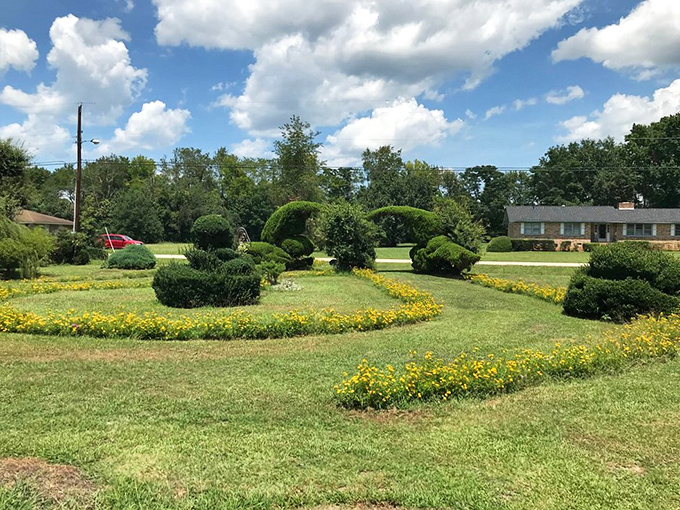 Garden artistry extends beyond the main attraction, with neighborhood landscapes transformed into flowing patterns of green punctuated by cheerful yellow blooms.