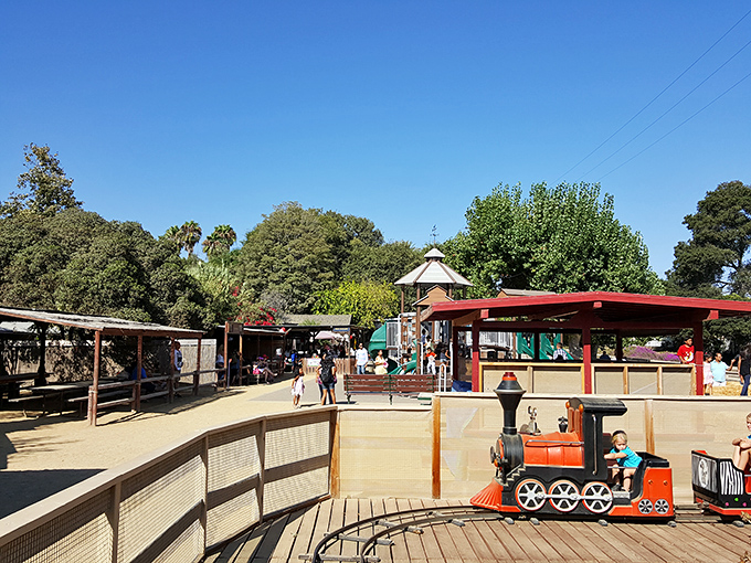 River Street Ranch offers old-fashioned fun that proves entertainment existed long before smartphones and streaming services.