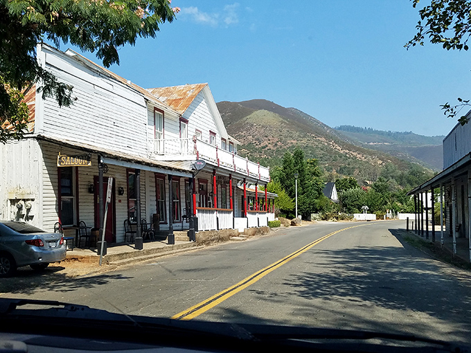 Driving these roads feels like traveling through a living history book, where each bend reveals another chapter in California's gold country narrative.
