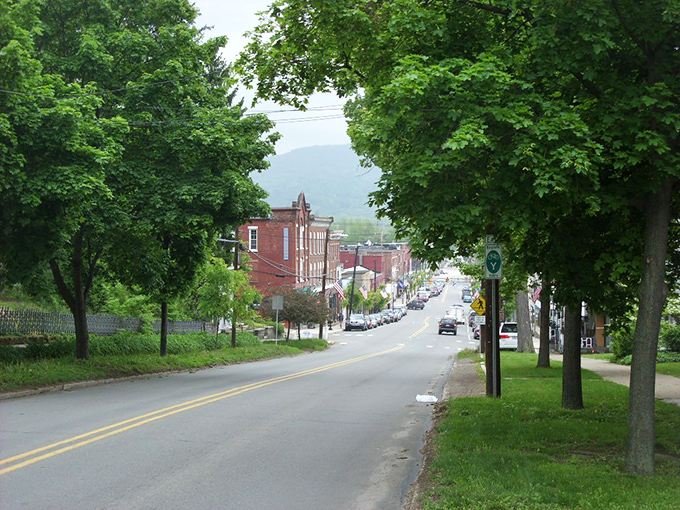 Tree-lined streets lead toward downtown Tunkhannock, where the mountains stand watch in the distance and time moves at a refreshingly human pace.