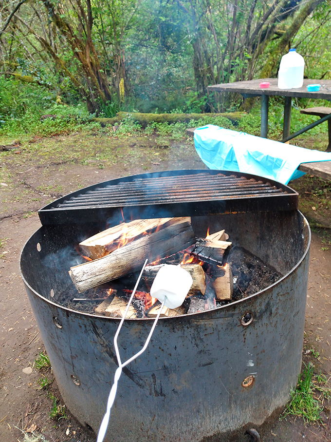 Marshmallow roasting: the ancient art of turning sugar into childhood memories, one perfectly golden bite.