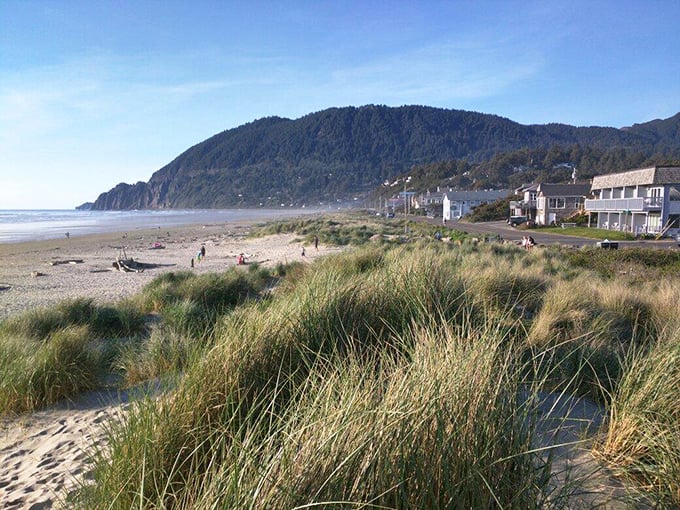 Grassy dunes lead to a peaceful stretch of beach, framed by rolling forested hills and an endless blue horizon &mdash; the kind of view no camera can truly capture.