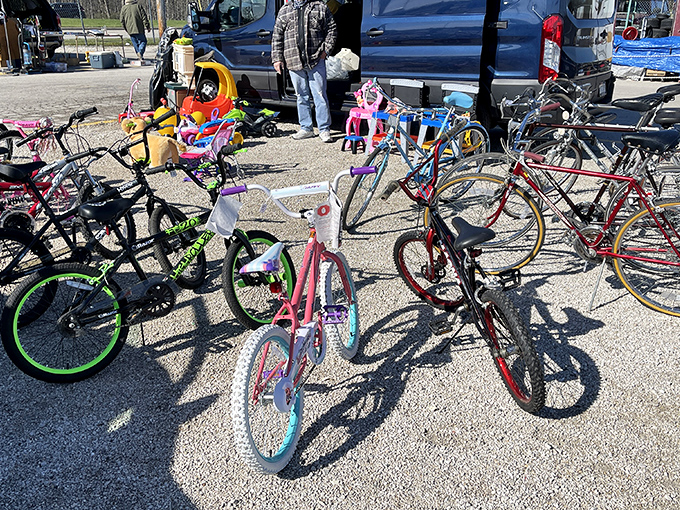 Bicycle boneyard or two-wheeled treasure trove? These colorful rides await new adventures with families looking for affordable wheels and weekend fun.