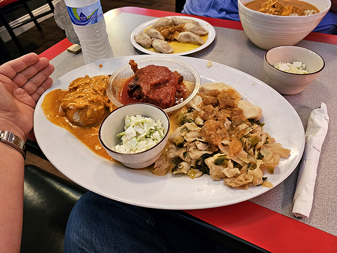 A feast fit for royalty: paprikash, stuffed cabbage, and haluski sharing a plate in a harmonious symphony of Eastern European flavors.