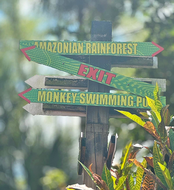 Directional signs point to monkey swimming pools and rainforest exits &ndash; navigation tools for a world where primates rule the roost. 