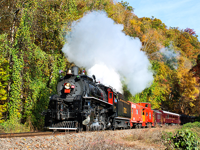 The steam billows dramatically against autumn's canvas, creating the kind of scene that makes amateur photographers look like professionals.