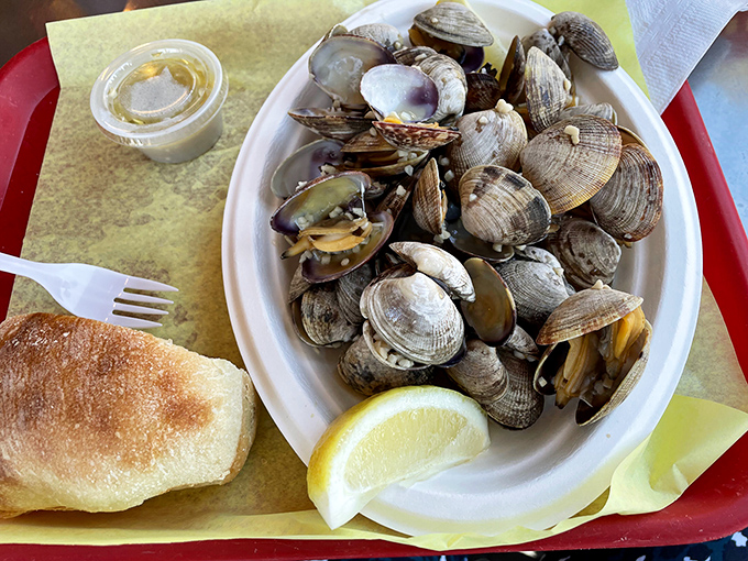 Steamed clams bathing in buttery broth, just waiting for that perfect bread dunk – a simple pleasure that never gets old.