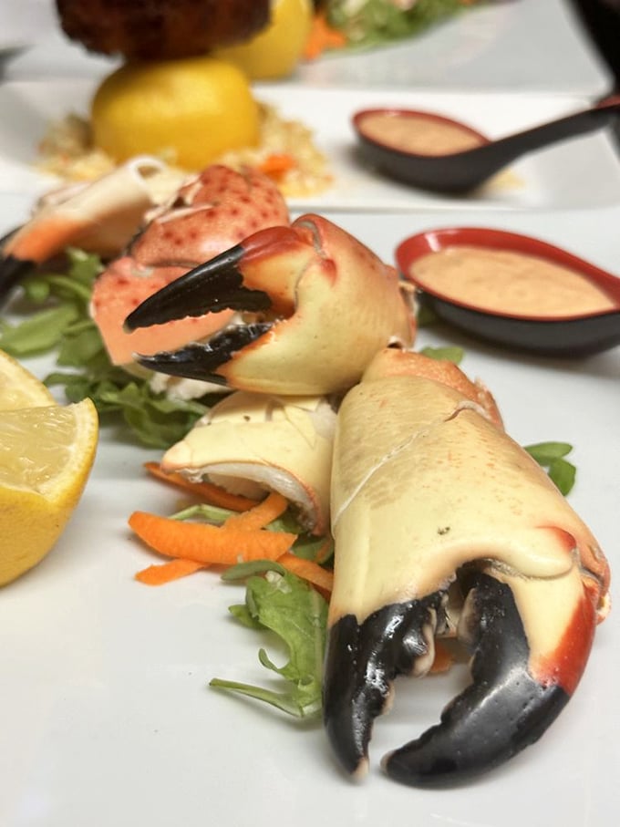 Stone crab claws so perfect they look like they should be in a museum, not on your plate. Art you can eat with a side of drawn butter.