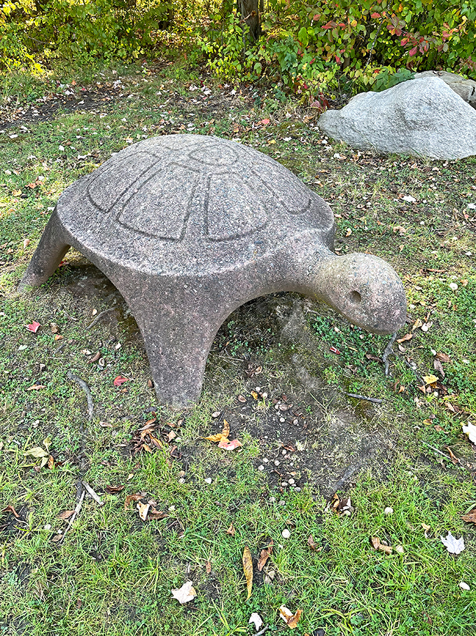 Stone turtles never rush to their destination. This whimsical sculpture reminds visitors to slow down and appreciate Hidden Lake at a reptilian pace.