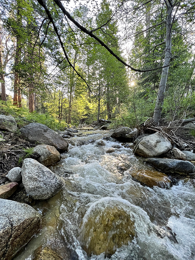 Strawberry Creek tumbles over ancient boulders, nature's own symphony playing the soundtrack to your mountain getaway.