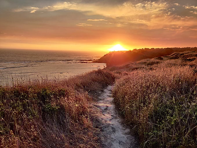 That magical moment when the sun kisses the Pacific goodnight, painting the coastal trail in shades of liquid gold.