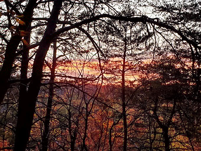 Nature's farewell performance of the day outshines any man-made light show. Sunsets at Bee Rock make you believe in magic again.