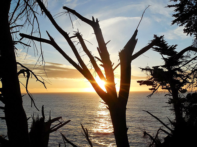 As the sun makes its dramatic exit, it paints the Pacific in molten gold, creating the kind of sunset that makes strangers turn to each other and nod in silent agreement.