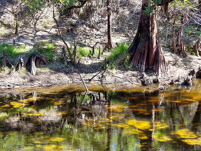 The park's trail map &ndash; where X marks the spot for adventure, minus the buried treasure and pirate curses.