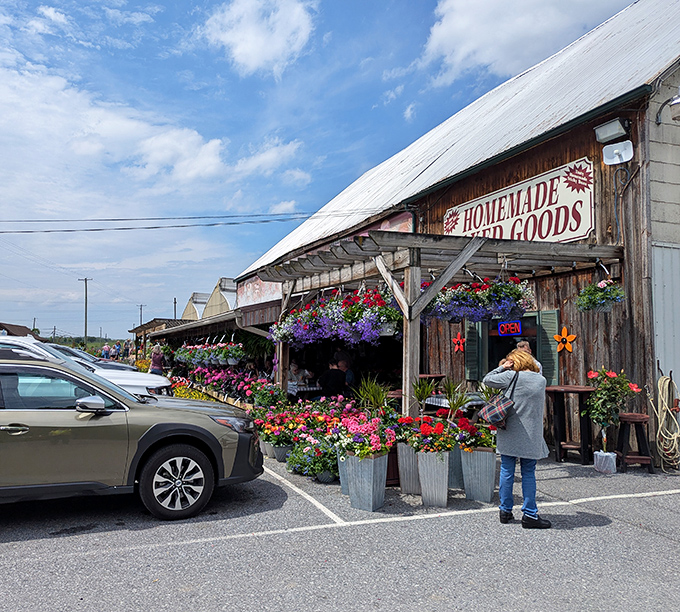 Farm markets burst with seasonal colors and homegrown treasures, connecting visitors directly to the agricultural heritage that defines the region.
