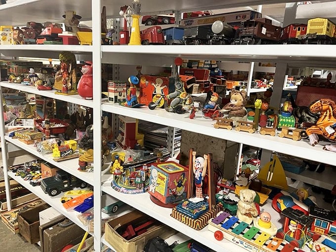 Childhood memories line these shelves. Vintage toys that entertained generations before screens took over, waiting for their next adventure.