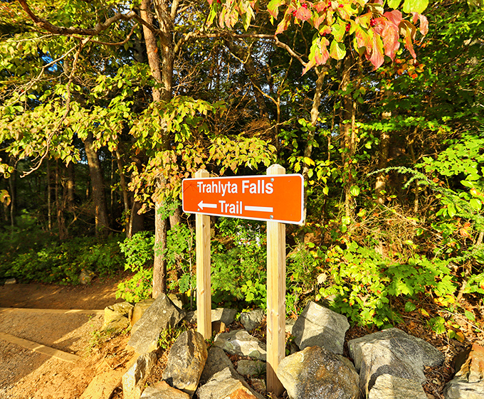 Trail signs point the way to Trahlyta Falls with the confidence of someone who knows you're about to see something worth the hike.