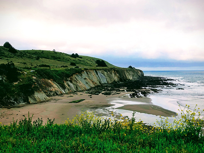 Spring wildflowers frame the dramatic coastline. From this vantage point, the beach below looks like a miniature model of planetary perfection.