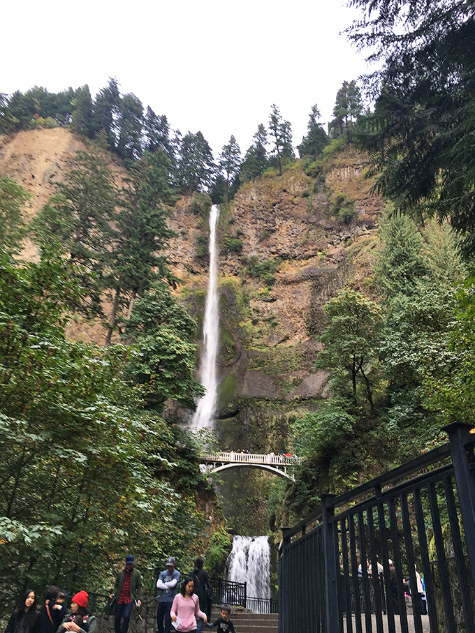 The bottom view of the falls offers a different perspective, where crowds gather like moviegoers waiting for nature's greatest show to begin.