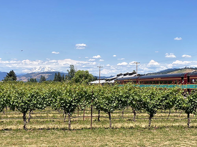 As the train glides past Hood River Valley vineyards, Mount Hood stands sentinel in the distance&mdash;a reminder that wine and spectacular views make perfect traveling companions.