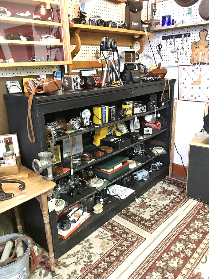 Camera collectors, prepare your wallets! This display of vintage photography equipment spans decades of technological evolution and craftsmanship.