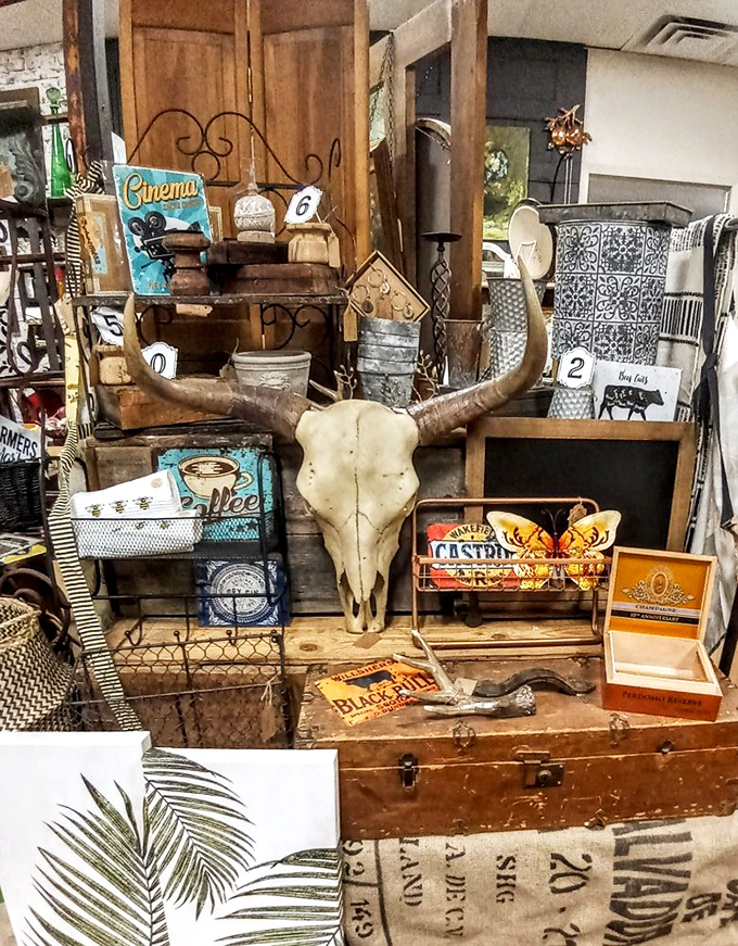 Western-themed display complete with longhorn skull – the perfect décor elements for anyone wanting to channel their inner Yellowstone character.