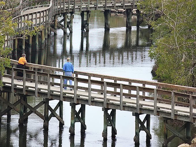 Wooden boardwalks through Robinson Preserve offer contemplative spaces where visitors can commune with nature or debate retirement portfolio options.