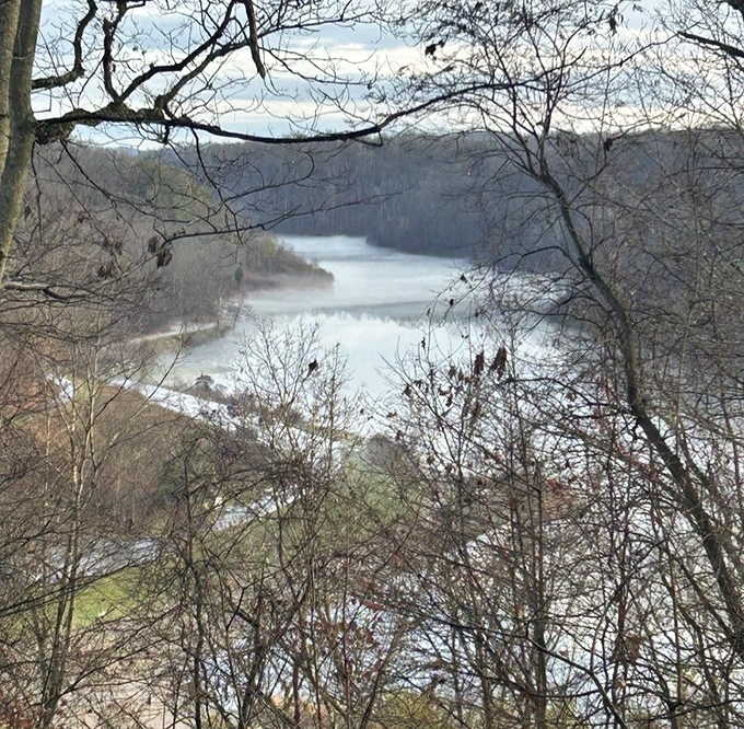 Vista points reward your hiking efforts with panoramic views that make your Instagram followers question your location.