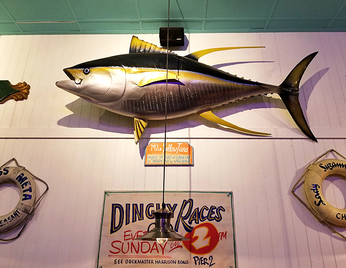 Ocean meets appetite! This mounted yellowfin tuna watching over diners reminds you that fresh seafood options swim alongside burger favorites.