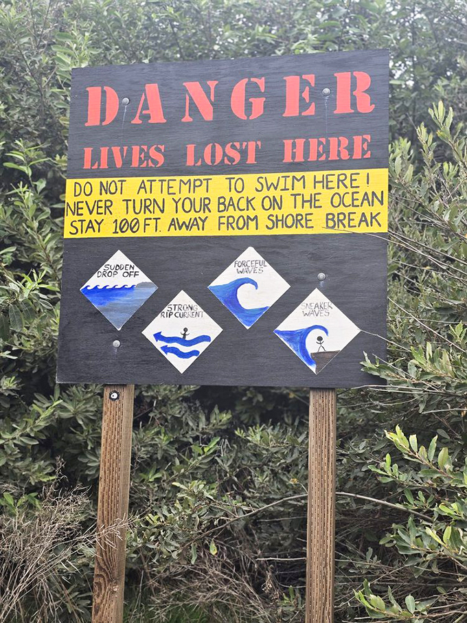 This isn't just friendly advice&mdash;it's life-saving wisdom. The Pacific here demands respect, not Instagram bravery.