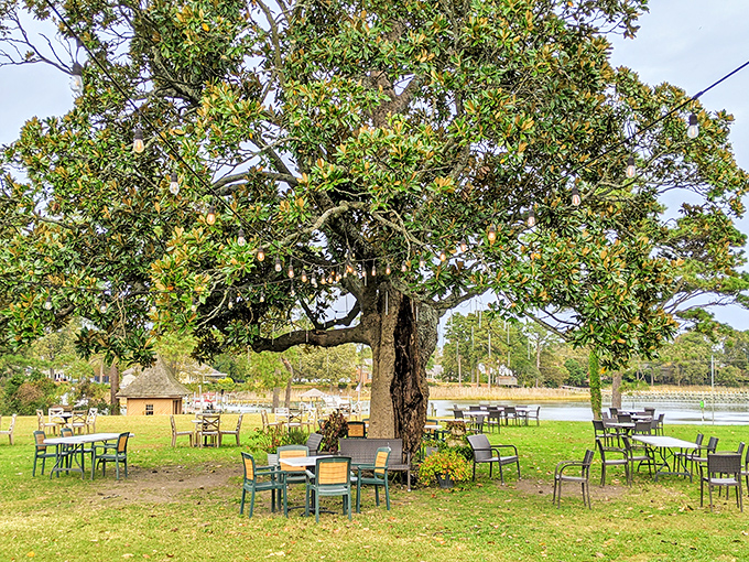 Nature provides the backdrop for outdoor dining that makes you wonder why we ever invented walls in the first place.