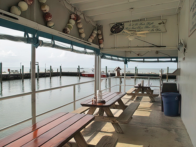 Waterfront picnic tables where the boundary between restaurant and marina blurs beautifully. Dining doesn't get more "dock-to-dish" than this.