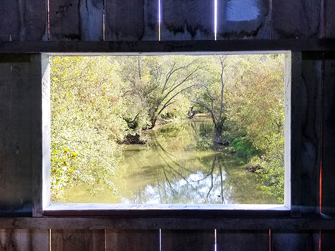 Windows frame creek views that change with seasons, offering nature's own rotating art gallery for free.