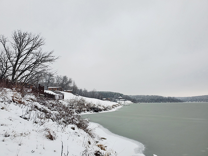 Winter transforms the park into a hushed wonderland. The cold keeps the crowds away, but rewards the brave with pristine solitude.