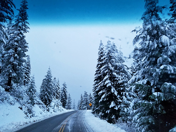 Winter transforms Paradise into a snow globe come to life. These powder-dusted pines make driving feel like gliding through a holiday card.