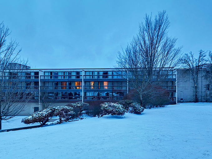 Winter transforms the landscape into a peaceful wonderland where snow creates its own magical silence.