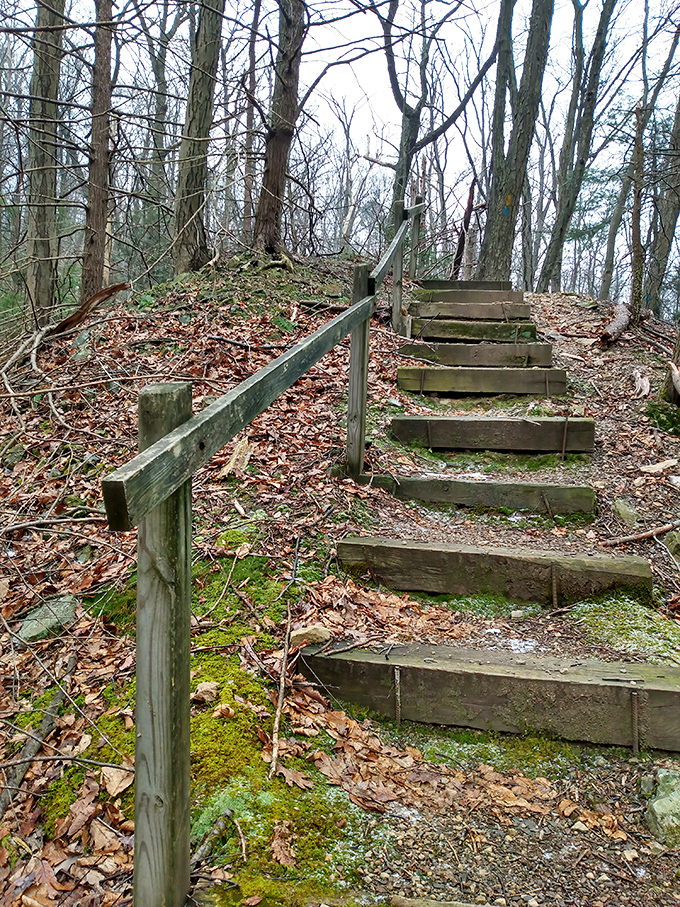 Wooden stairs that lead to views worth every single step you'll take to reach them.